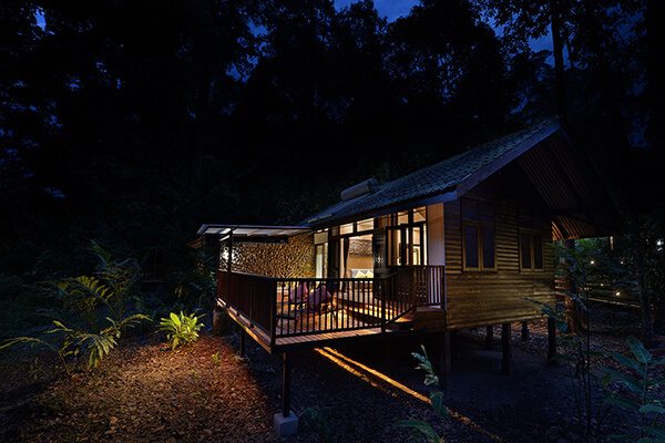 Borneo Rainforest Lodge, luxury nature retreat - Safari Acacia